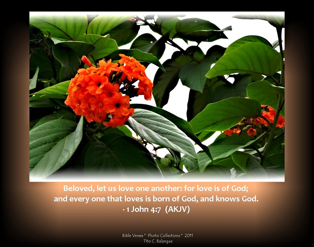 1 John 4 7 AKJV Flickr